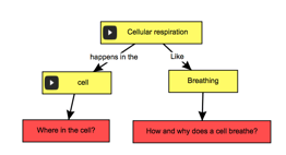 Concept Maps as Cognitive Notebooks