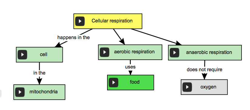 Concept Maps as Cognitive Notebooks